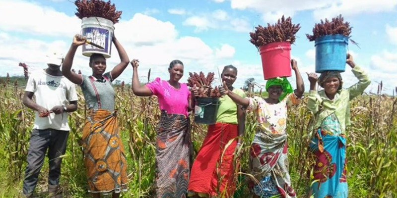 Find out about the Tanzania Development Trust | Tanzania Development Trust